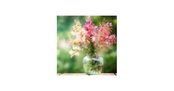 Laura Annette Allen Bouldin Obituary (2026) - Brentwood, TN - Phillips ...
