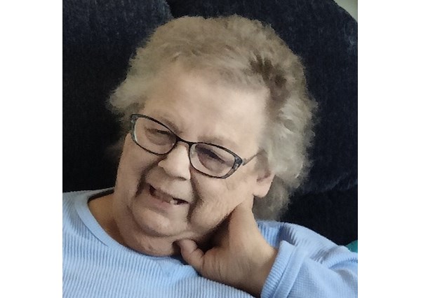Sandra L. Shepley Obituary (2023) - South Bend, IN - Zahoran Funeral ...