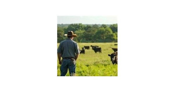 Jessie Andrew "Butch" Little Obituary (2026) - Tazewell, VA - Hurst ...