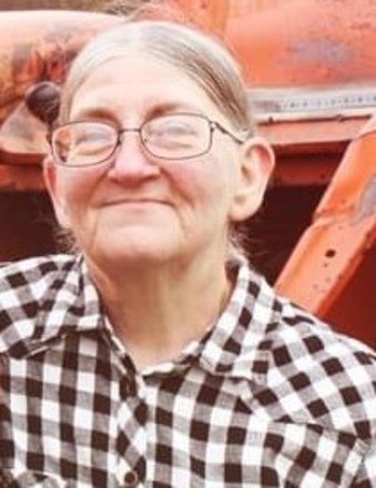 Judith Ann Denter Obituary (2026) - Owosso, MI - Watkins Brothers ...