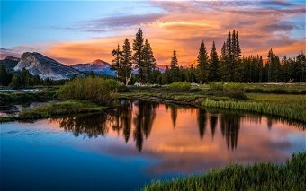 Darrell Lee Pittman Obituary (2025) - High Springs, FL - Evans-Carter ...