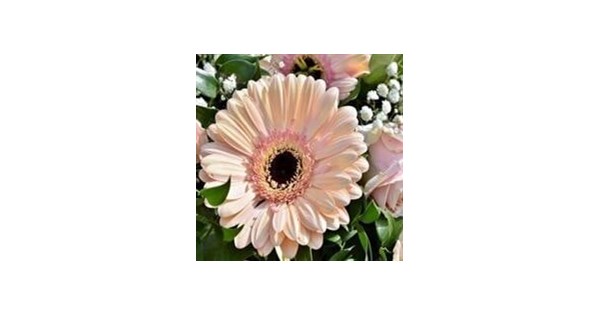 Camille Nagy Obituary (2024) - Mission Hills, CA - Utter McKinley San ...