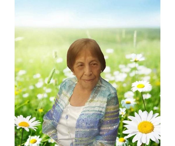 Alicia Consuelo Delgado Obituary (2023) - New Hyde Park, NY - Park ...
