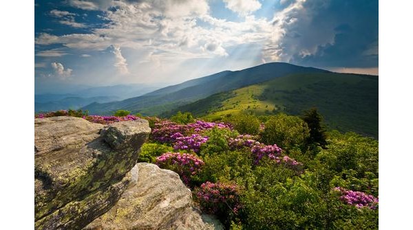David Wren Obituary (2025) - Indianapolis, IN - Cremation Society of ...