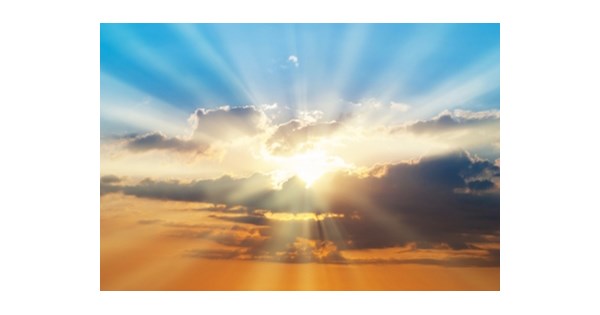 Tami Church Obituary (2025) - Indianapolis, IN - Cremation Society of ...