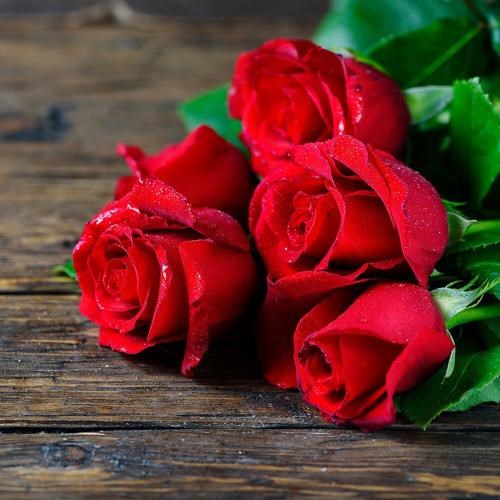 Robbie Jones Obituary and Online Memorial (2026)