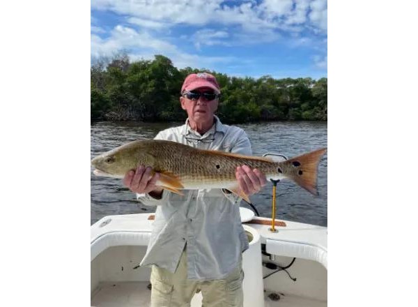Mark Andrew Monroe Obituary (2024) - Elmhurst, IL - Elmhurst Community ...