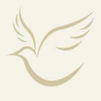 Tammy Lambert Bair Obituary (2025) - Charleston, SC - Charleston ...