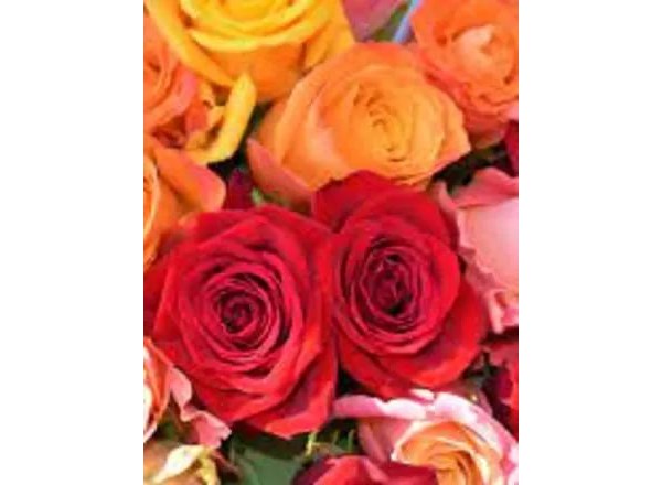 Lillian Eugenia Frazier Obituary (2025) - Pensacola, FL - Joe Morris ...