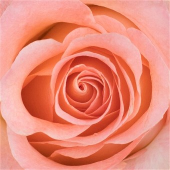 Thelma Condran Obituary and Online Memorial (2026)