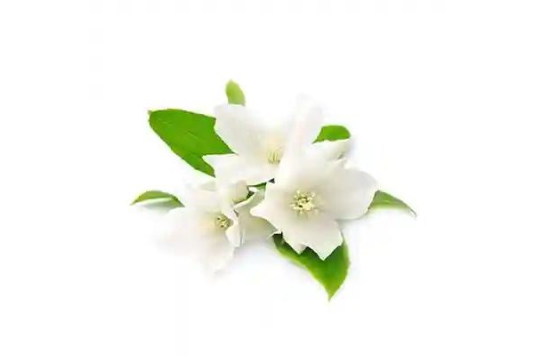 William Lester Hankins Obituary (2025) - Olympia, WA - eCare Mortuary ...