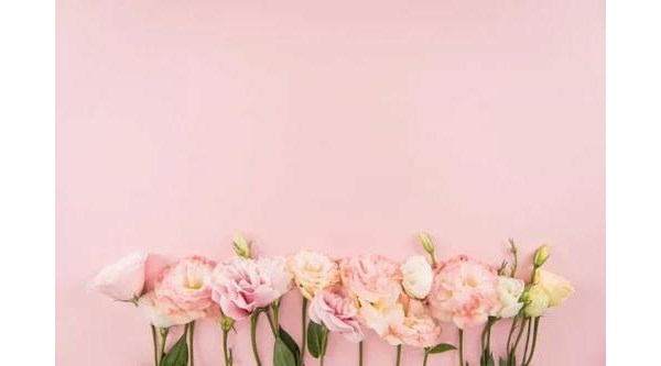 Marilyn Farris Obituary (2023) - Jacksonville, FL - Hardage-Giddens ...