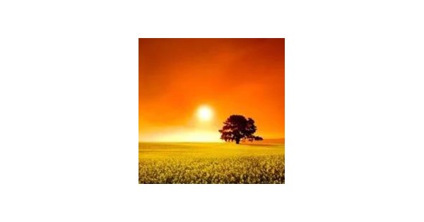 John Putman Obituary (2026) - Corsicana, TX - Griffin-Roughton Funeral ...