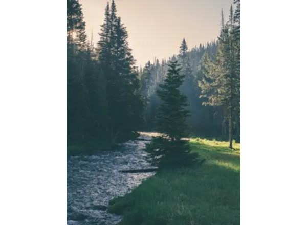 Stanley Lee Ritchie Obituary (1942 - 2025) - Bridgewater, VA - Rocktown Now