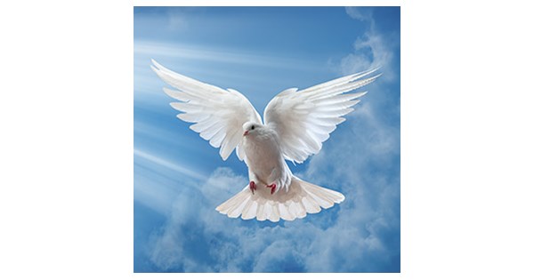 Carol Jean Munsch Obituary (2026) - Pittsburgh, PA - Devlin Funeral ...