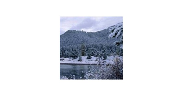 Kelly Shane Greer Obituary (2026) - Fayetteville, TN - Lynchburg ...