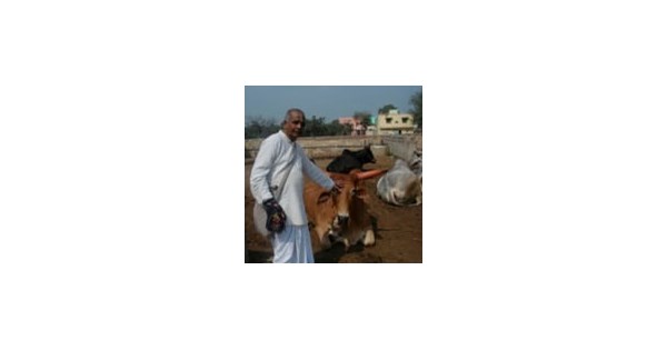 Charran Mahadeo Obituary (2024) - Dorchester, MA - McHoul Family ...