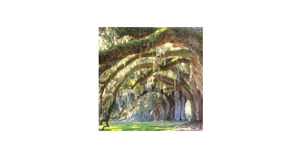 William Clinton Hitt Obituary (2024) - Thomasville, GA - Allen & Allen ...