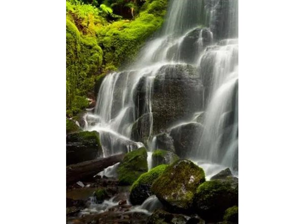 Jerry Williams Obituary (2024) - Ashland, OR - Litwiller-Simonsen ...