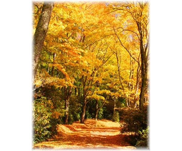 Randy James Cripe Obituary (2024) - Idaho Falls, ID - Wood Funeral Home ...