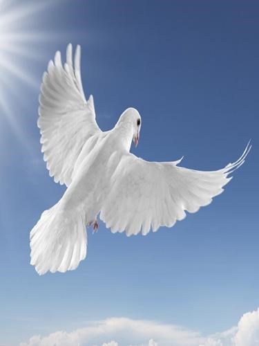 Kenneth Jahn Obituary (2026) - San Lorenzo, CA - Grissom's Chapel ...