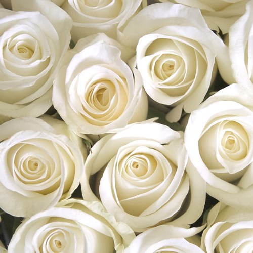 Mary Bentley Peterson Obituary (2026) - Midland, TX - Nalley-Pickle ...