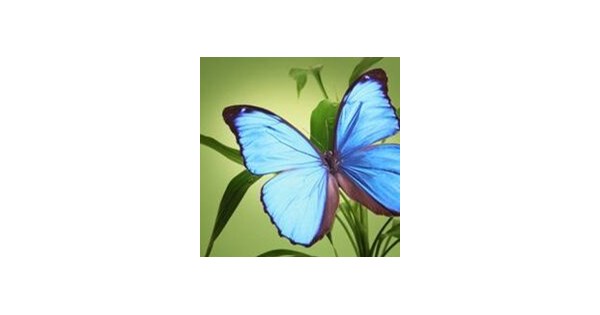 Annette Elizabeth Williams Obituary (2021) - Hawkinsville, GA - Clark ...