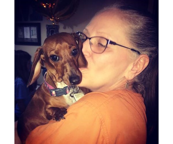 Meribeth Carilynn Collard Obituary (2025) - Deer Park, TX - Deer Park ...