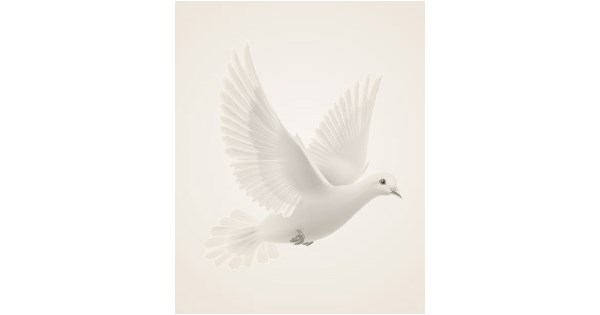 Janette Kuykendall Obituary (2026) - Asheville, NC - Groce Funeral Home ...