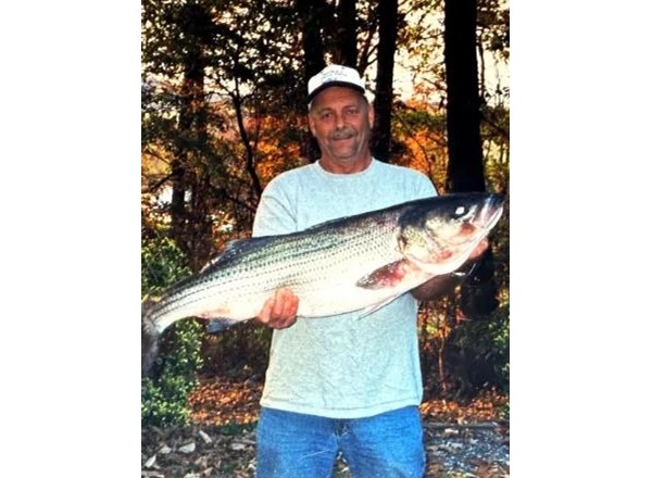 David Twigg Obituary (2026) - York, PA