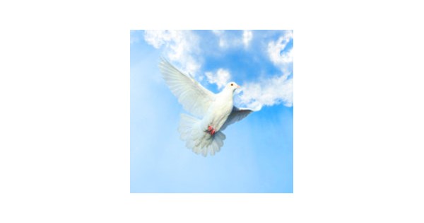 Kenneth Alan Evans Obituary (2026) - Washington, IN - Ed Lee Mortuary ...