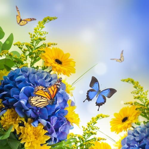 Sue McCoy Burgett Obituary (2026) - Guthrie, KY - Cook-Webb Funeral Home