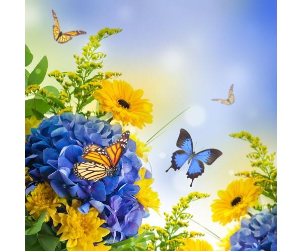 Sue McCoy Burgett Obituary (2026) - Guthrie, KY - Cook-Webb Funeral Home