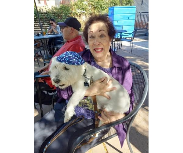 Toby Hirsch Obituary (2025) - Denver, CO - Feldman Mortuary - Denver