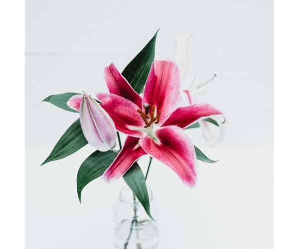 Jeanne Marie Watts Obituary (2024) - Oxon Hill, MD - Kalas Funeral Home ...