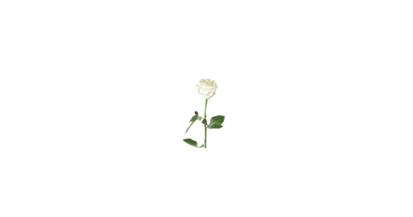 Catherine Barto Obituary and Online Memorial (2026)
