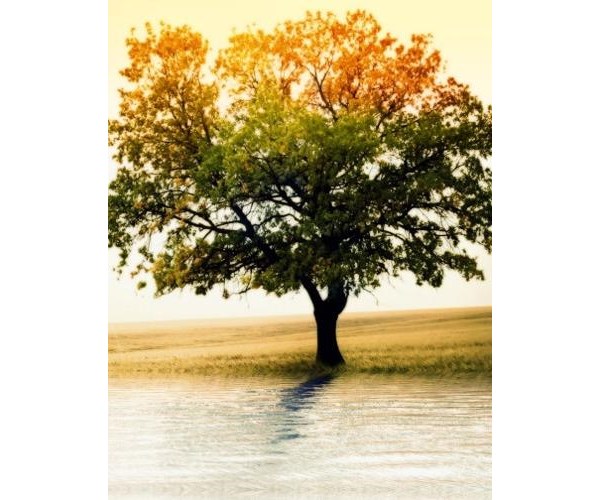 John Wayne Johnson Obituary (2025) - Princeton, IN - Colvin Funeral ...