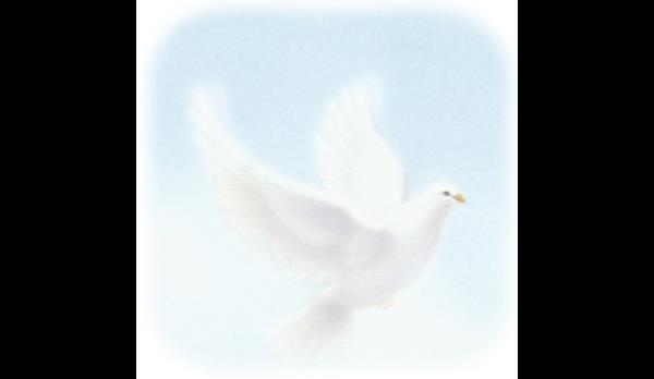Baby Waylon Degen Obituary (2023) - Mitchell, SD - Bittner Funeral ...