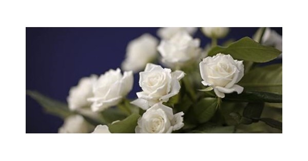 Howard Lyn Holman Obituary (2025) - Queen Creek, AZ - San Tan Mountain ...