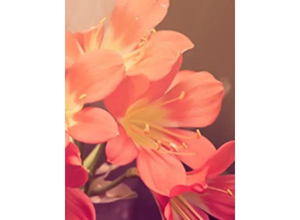 Maria E. Stewart Obituary (1927 - 2025) - Lowellville, OH - Mahoning ...