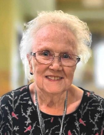 Phyllis Springer Obituary (2026) - Owatonna, MN - Brick-Meger Funeral Home