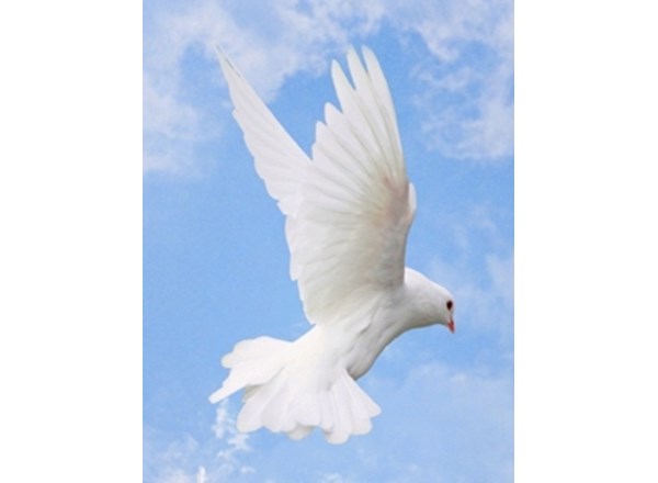 Leonard Gene "Gene" Benton Obituary (2026) - St. Joseph, MO ...