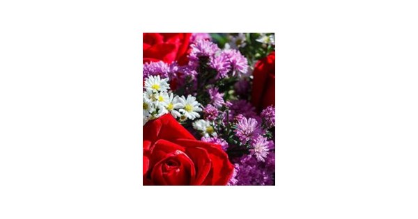 Gladys Small Pierce Obituary (2024) - Rock Hill, SC - Greene Funeral ...