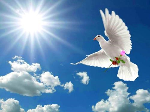 Karen Jean Budd Obituary (2026) - Cromwell, CT - Doolittle Funeral Home