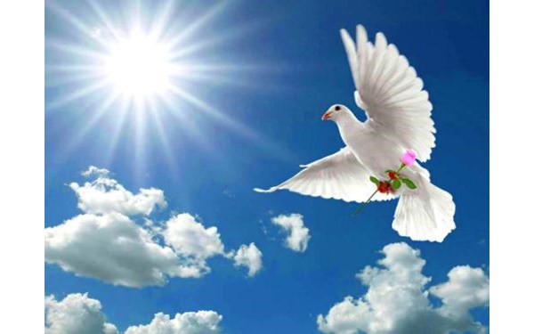 Karen Jean Budd Obituary (2026) - Cromwell, CT - Doolittle Funeral Home