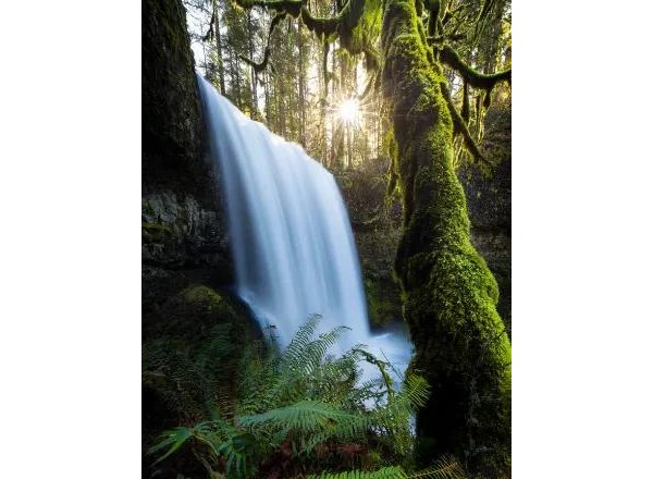Alfred Franklin Obituary (1944 - 2025) - Ashland, OR - KDRV