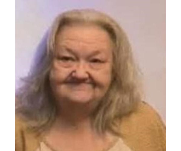 Cynthia Marie Goben-Hall Obituary (2026) - Edmore, MI - Brigham Funeral ...
