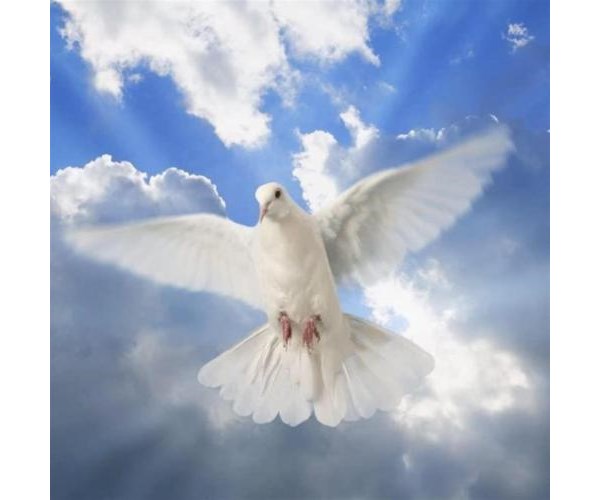 Ellen Claire Minton Obituary (2024) - Snellville, GA - Tom M. Wages ...