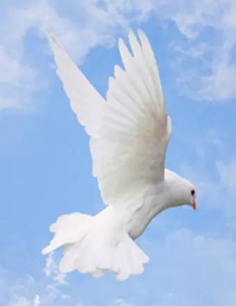 Arthur G. Pike Obituary (2025) - Warwick, RI - Quinn Funeral Home - Warwick