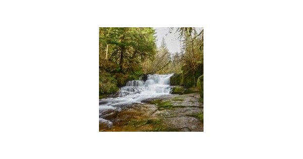 Thomas Kevin Ahrendt Obituary (2025) - Corvallis, OR - McHenry Funeral ...
